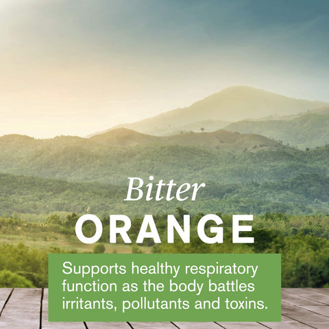 Nature's Sunshine HistaBlock, 90 Capsules | Natural Histamine Blocker ...